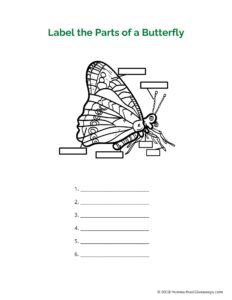 Butterfly Nature Study - Homeschool Giveaways