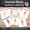 Human Body Systems Labeling Worksheets - Homeschool Giveaways