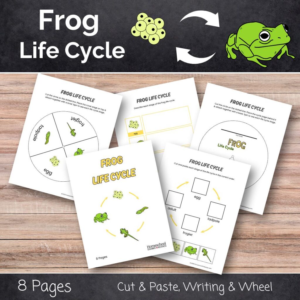 Fun Frog Life Cycle Pack - Homeschool Giveaways