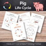 Homeschool Resources, Giveaways & Deals