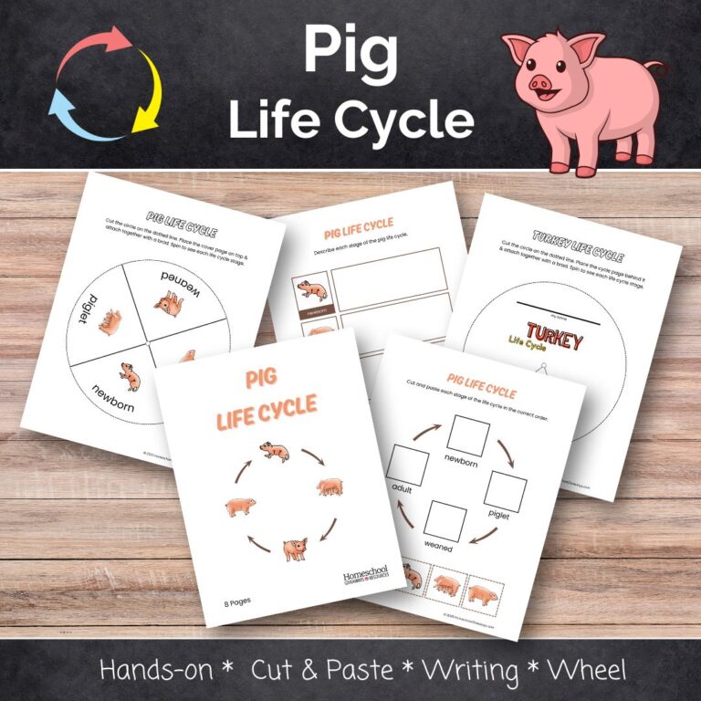 Homeschool Resources, Giveaways & Deals