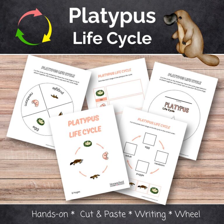 Homeschool Resources, Giveaways & Deals